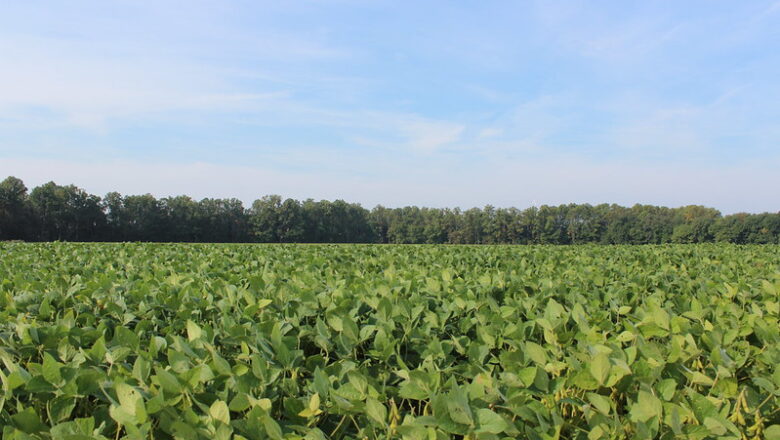Conversion Table - U.S. Soybean Export Council