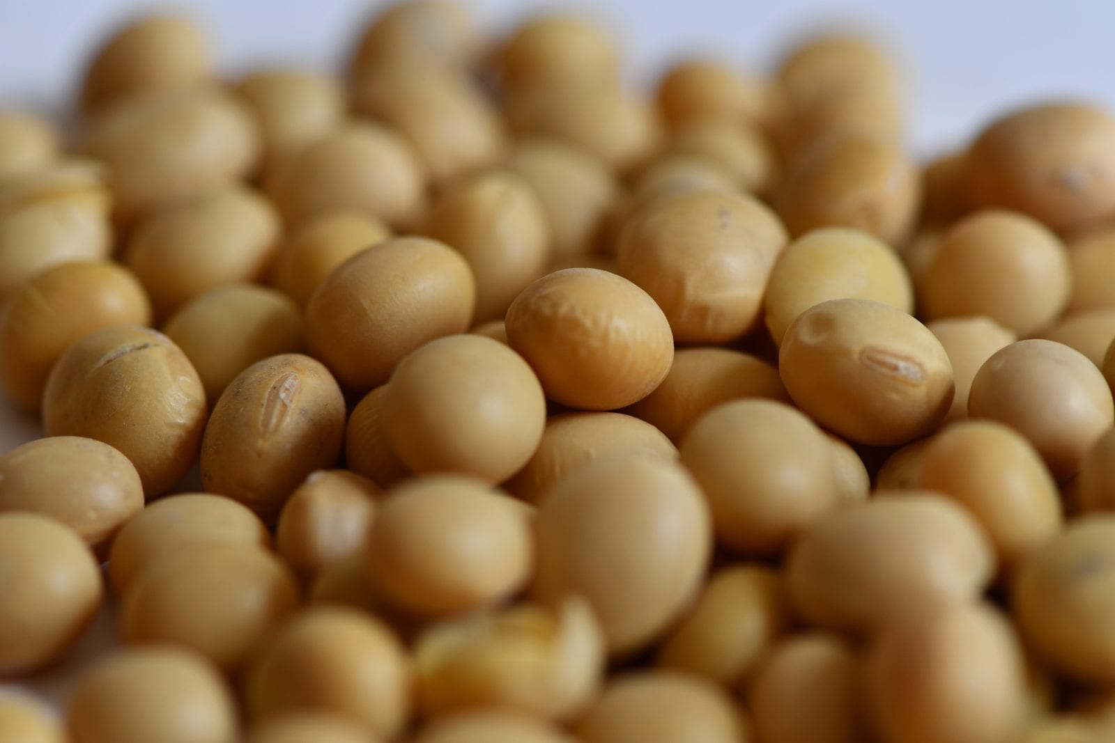 April 2021 WASDE: Soy Inventories Maintained, but Tight - U.S. Soybean ...