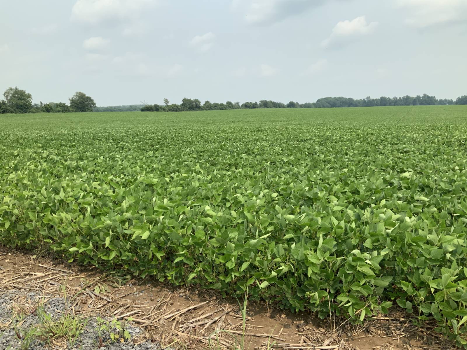 USSEC Holds 2nd Regional Soybean Processing and Refining Conference in ...