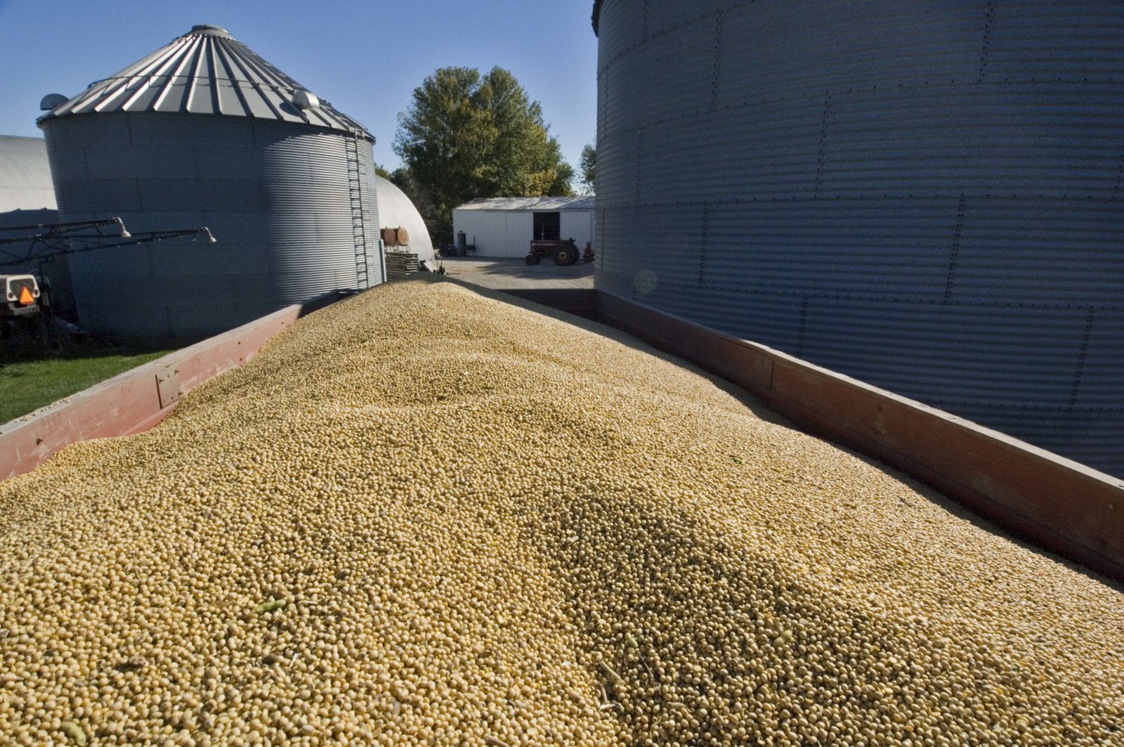 Soybeans Rally on Pivot from Global Glut to Tightened Supplies - U.S ...