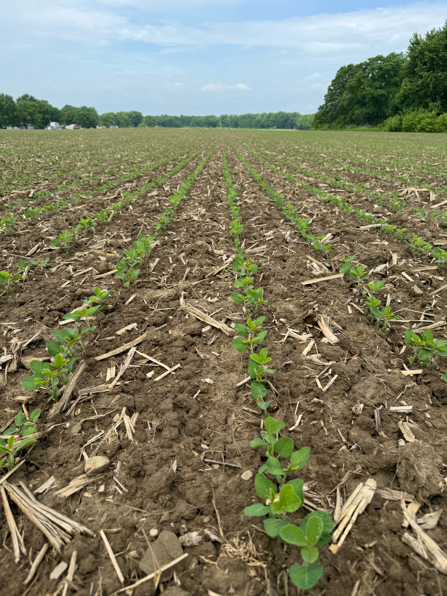 Soy Food Crop Reports for the 2026 Growing Season - U.S. Soybean Export ...
